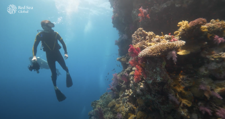 Shebara Resort - Killa Design | Luxury Island Retreat