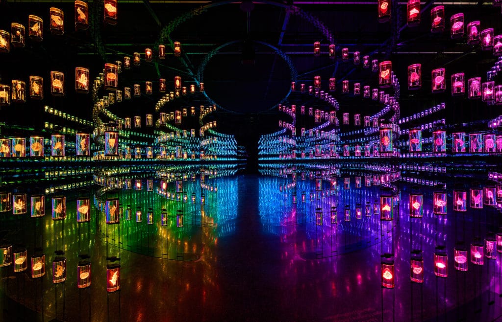 Museum of the Future - Innovative Architecture by Killa Design